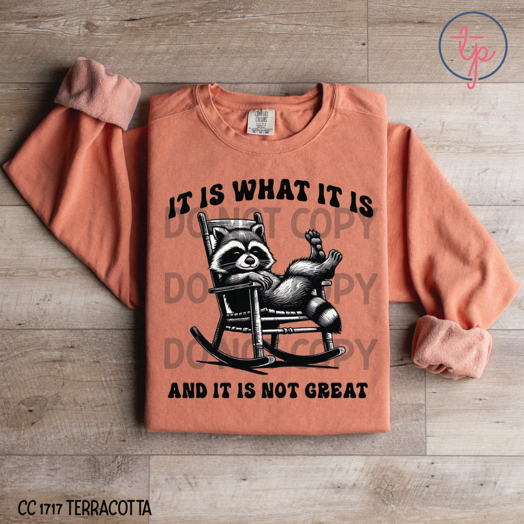 It is What It Is Raccoon – Transfers Plus